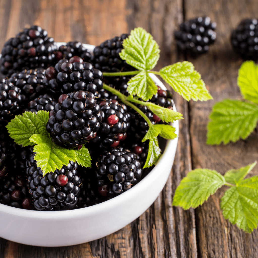 Amora E Todos Os Seus Benefícios Para Saúde | Antioxidante